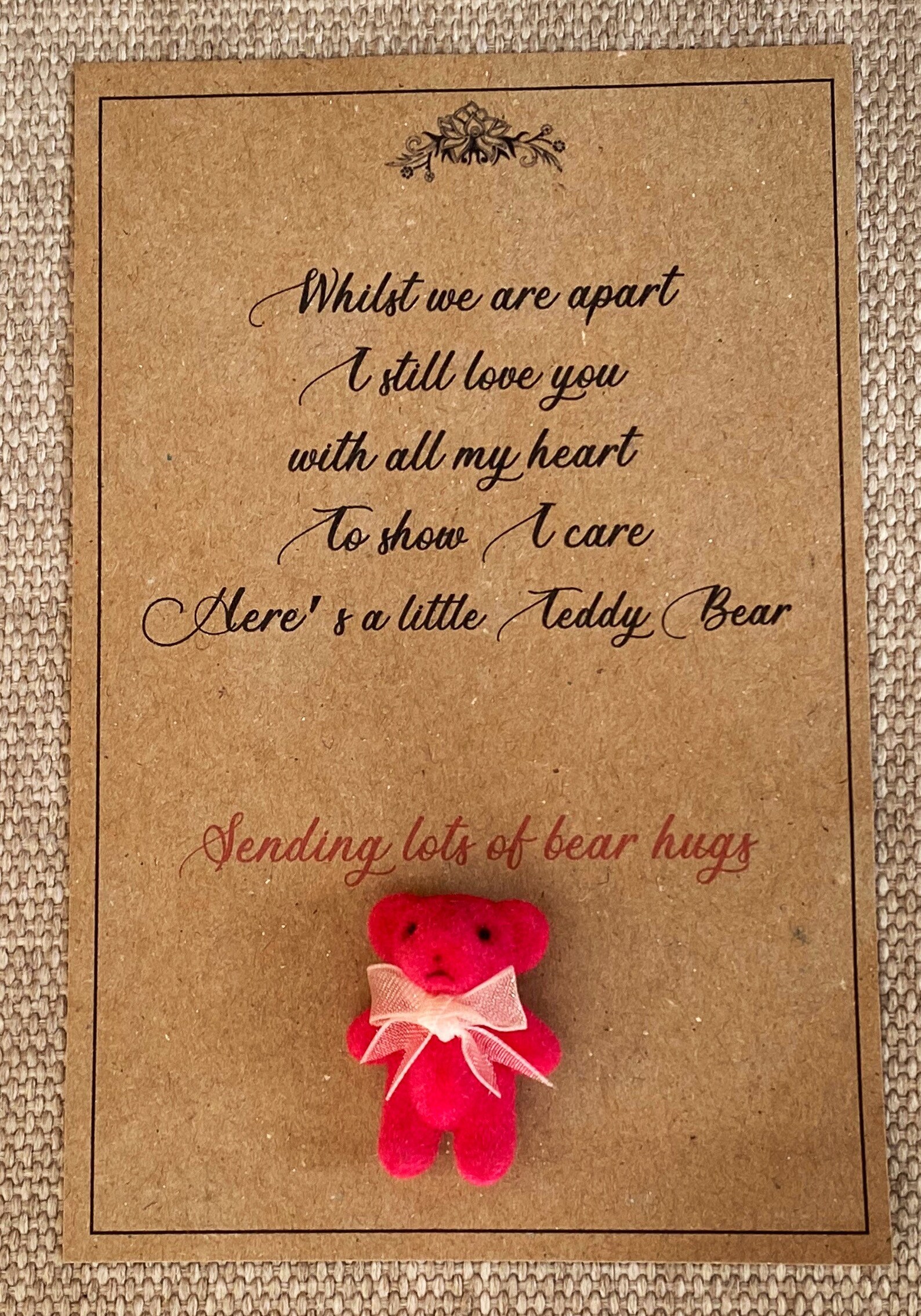 Pocket Hug, Miss You, Bear Hug, Distance Hug ,miss You Gift, Isolation Gift,thinking of You Bear ...