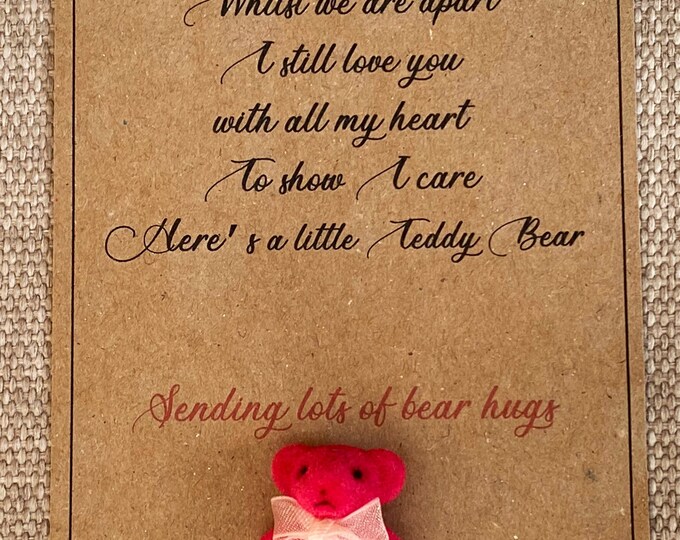 Pocket Hug, Miss You, Bear Hug, Distance Hug ,miss You Gift, Isolation ...