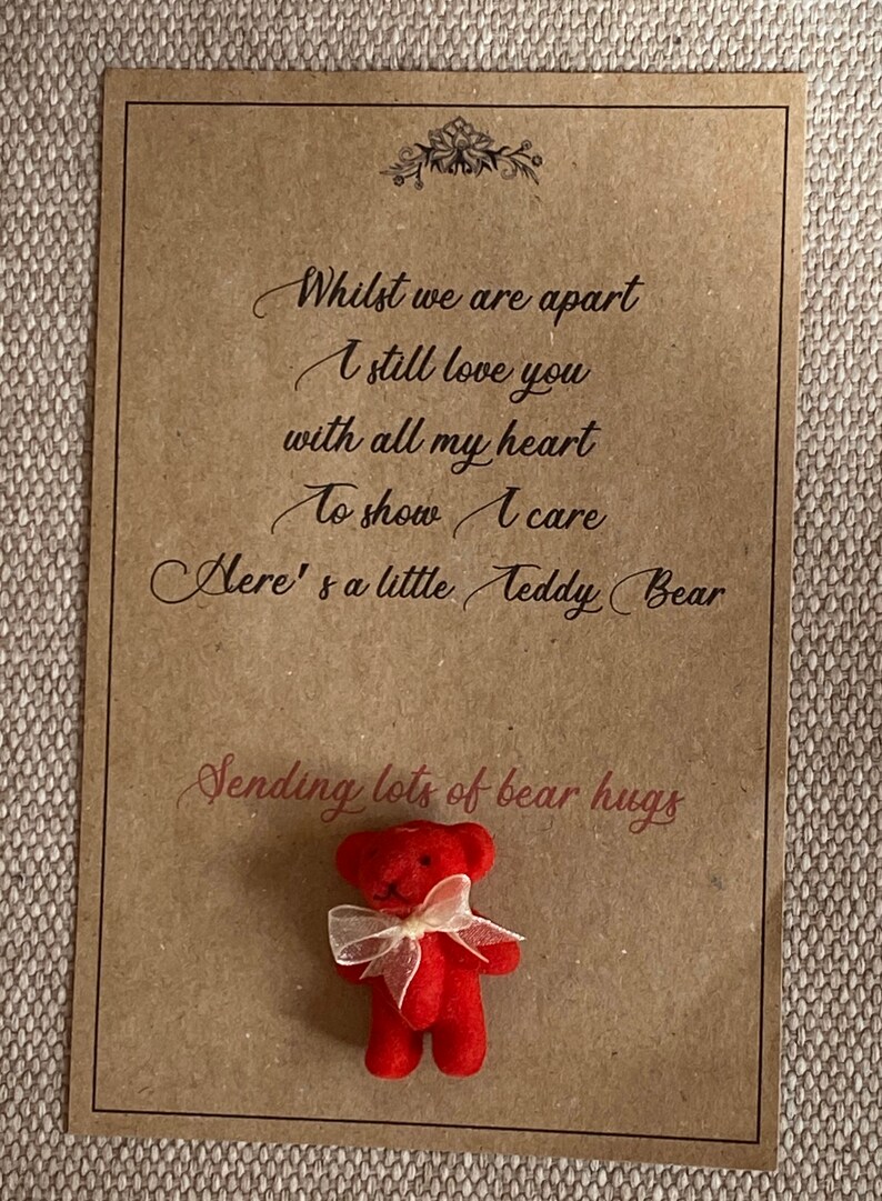 Pocket Hug, Miss You, Bear Hug, Distance Hug ,miss You Gift, Isolation ...