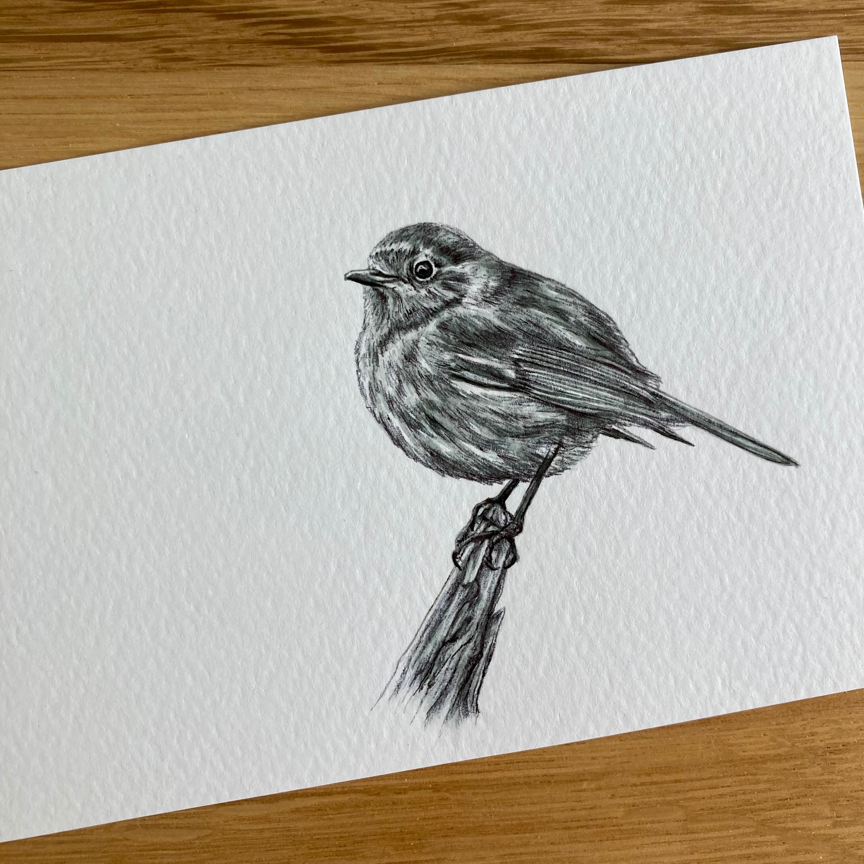 Drawings Of Robin