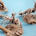 Behemoth Grotto Fungi | Myconid by Print Your Monsters| Dungeons and ...