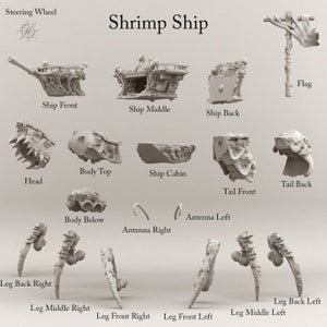 Undead Shrimp Pirate Ship Terrain for Dungeons and Dragons Tabletop RPG ...