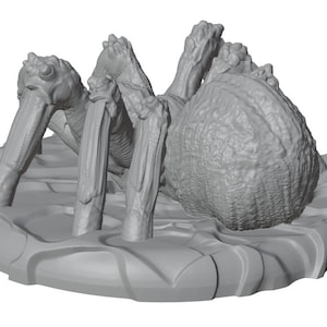 11mm Spider Familiar for Dungeons and Dragons | D&D | Pathfinder | RPG ...