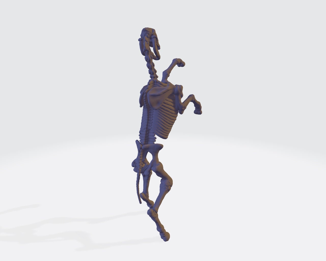 Skeleton Horse for Dungeons and Dragons D&D DnD Tabletop | Etsy