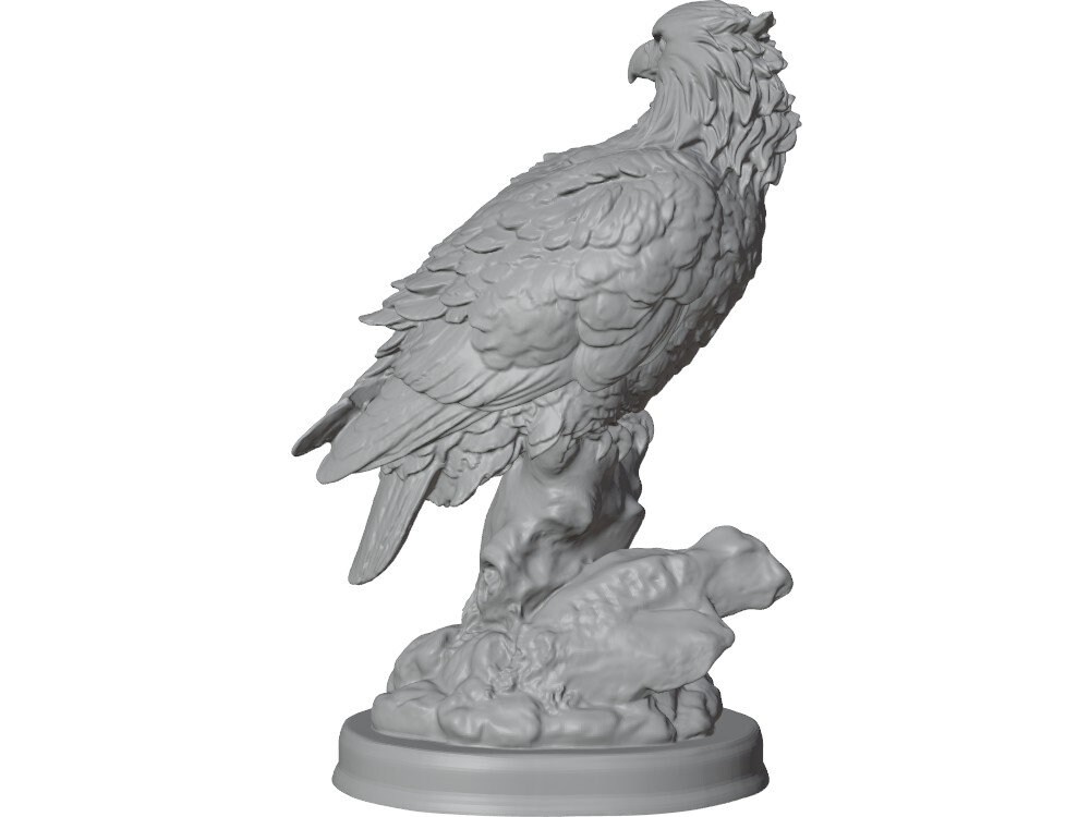 Eagle Companion Familiar for Dungeons and Dragons D&D | Etsy