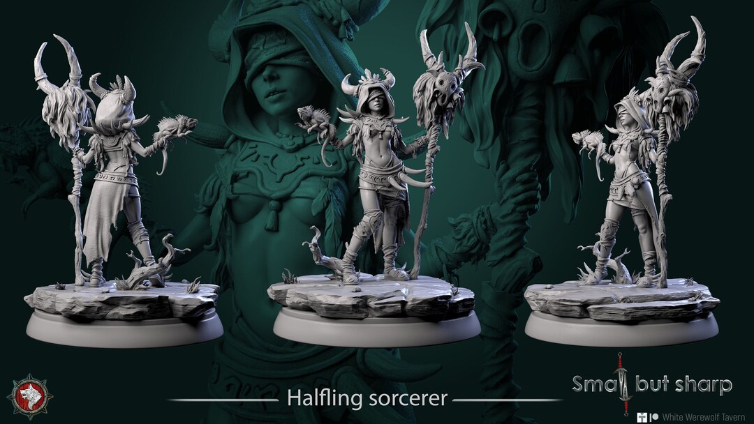 Halfling Sorcerer Small but Sharp by White Werewolf Tavern Dungeons and ...