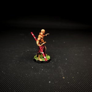 Handpainted Goliath Monk for Dungeons and Dragons D&D Pathfinder RPG ...