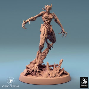 Woodfeys 10 Poses V1 Curse of Briar by Rescale Miniatures Dungeons and ...