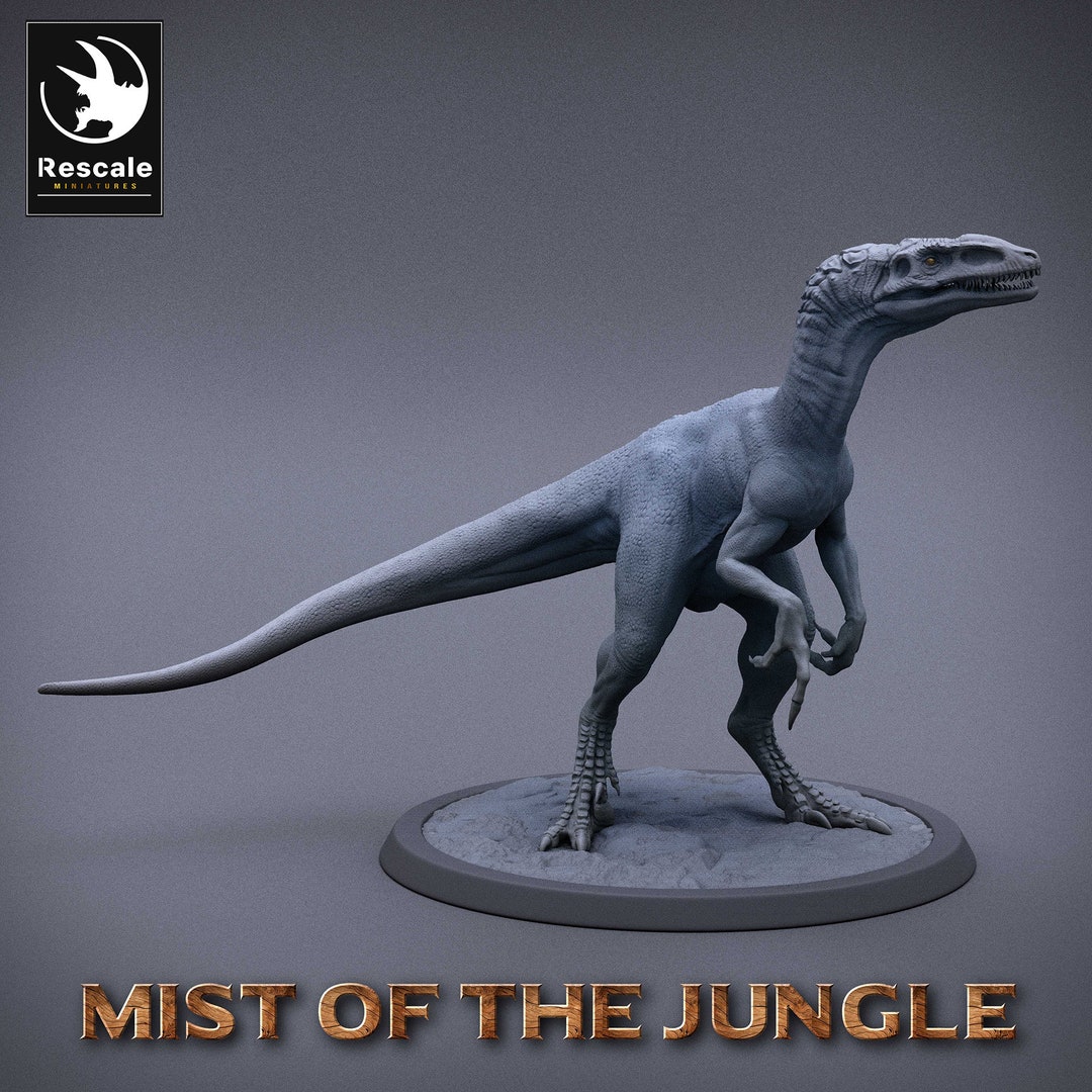 Wild Raptor Pack (7 Poses) • Mist of the Jungle • by Rescale Miniatures ...