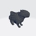 22mm Capybara Mount for Dungeons and Dragons D&D Pathfinder Dnd ...