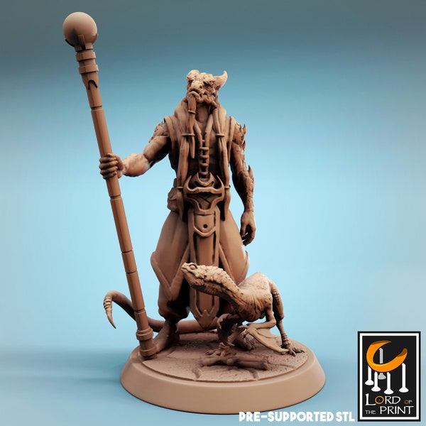 Dnd Dragonborn Miniature - Etsy