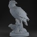 Eagle Companion Familiar for Dungeons and Dragons D&D RPG Dnd Tabletop ...