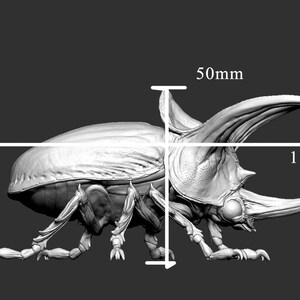 Giant Beetle • Infestation • by Mini Monster Mayhem | Dungeons and ...