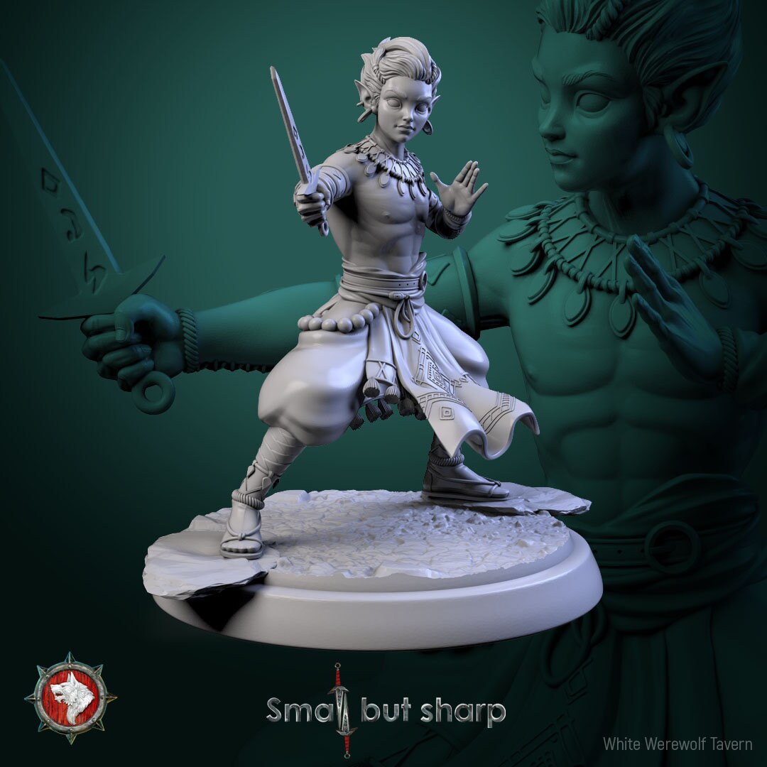 Halfling Monks (6 Poses) • Small but Sharp • by White Werewolf Tavern ...