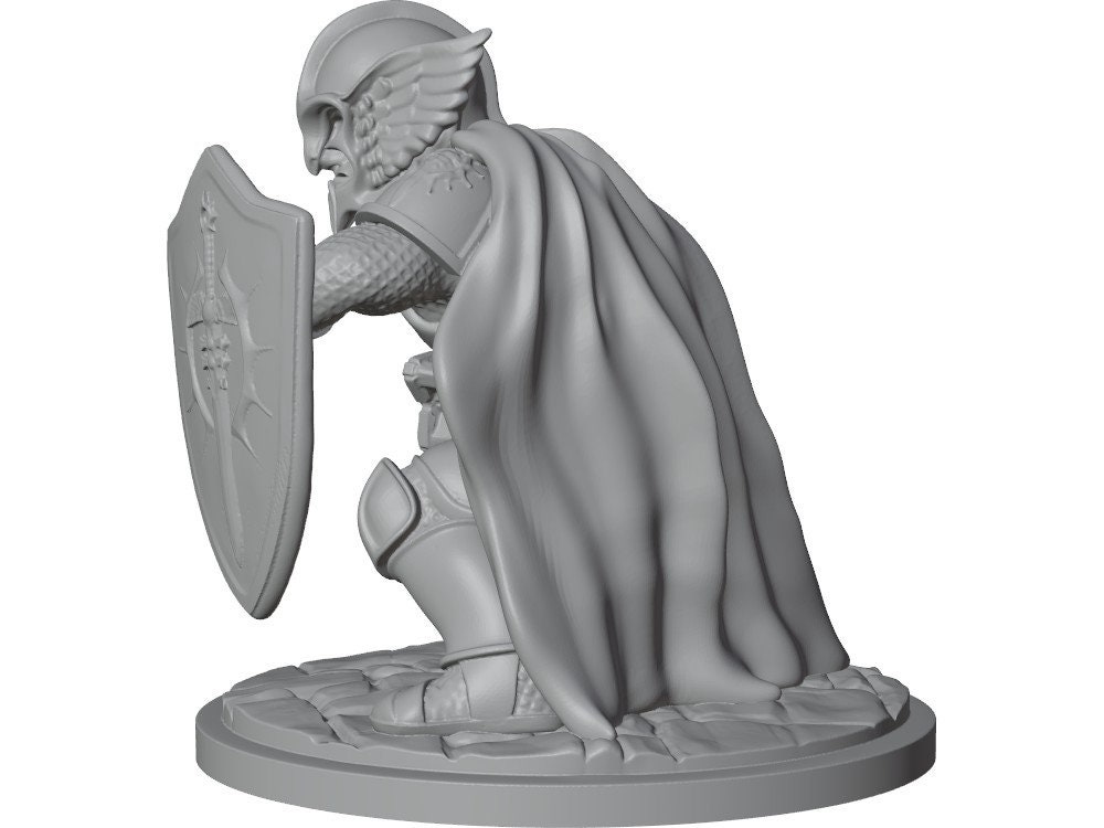 28mm Gnome Paladin for Dungeons and Dragons D&D Pathfinder | Etsy