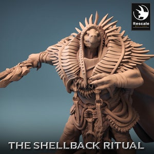 Shellback Turtles (3 Poses) • the Shellback Ritual • by Rescale ...