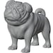 Pug Companion Dog Familiar for Dungeons and Dragons D&D RPG 5e Dnd ...