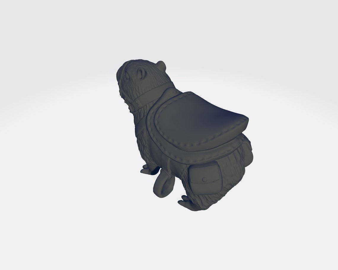 22mm Capybara Mount for Dungeons and Dragons D&D | Etsy Canada