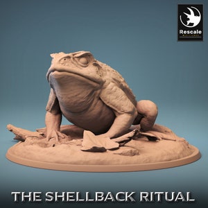 Toad Mount Walk (3 Poses) • the Shellback Ritual • by Rescale ...