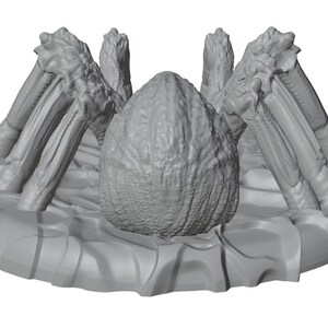 11mm Spider Familiar for Dungeons and Dragons | D&D | Pathfinder | RPG ...