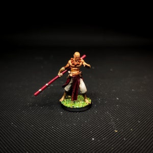 Handpainted Goliath Monk for Dungeons and Dragons D&D Pathfinder RPG ...