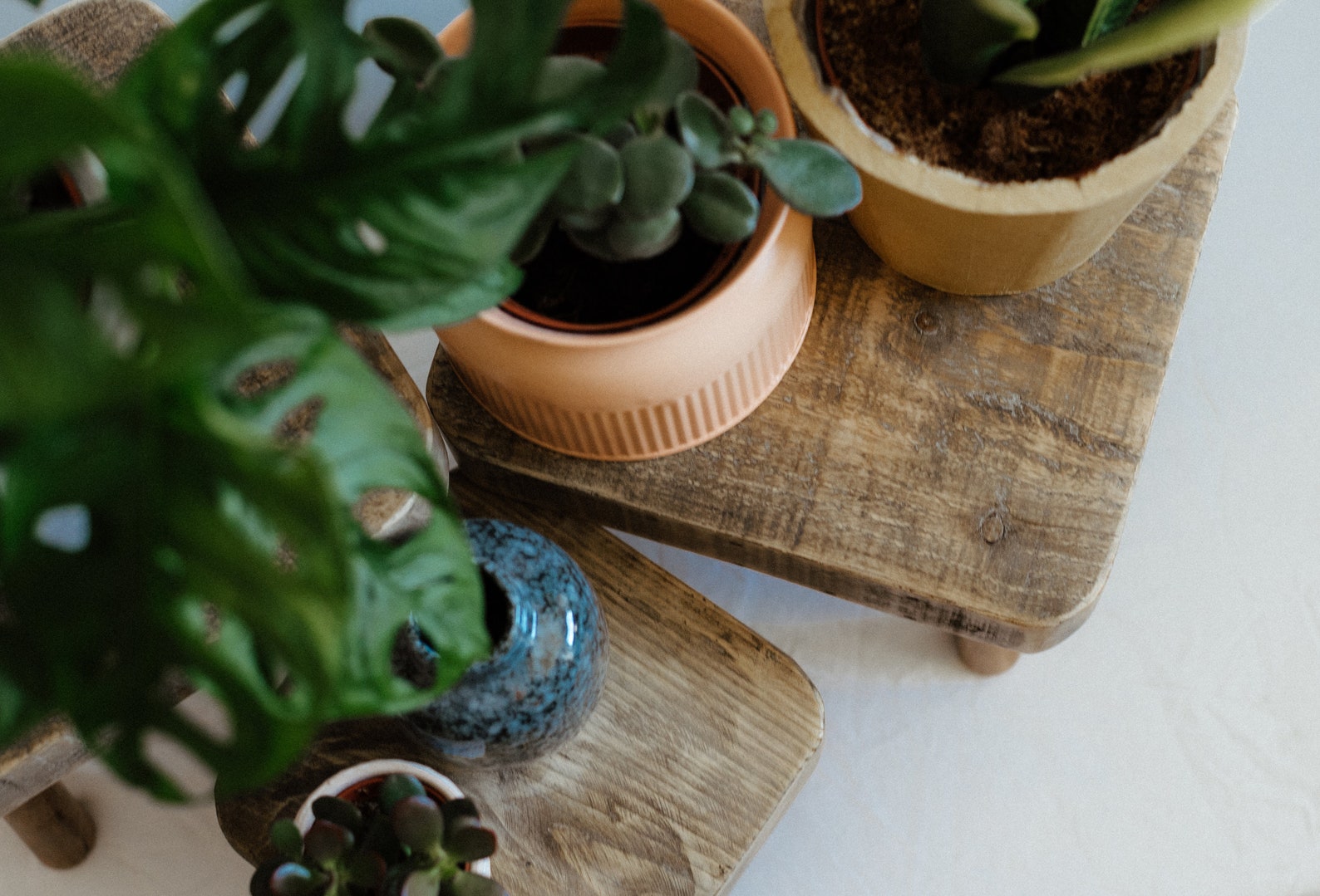 Rustic Wooden Plant Pot Stand Family - Etsy
