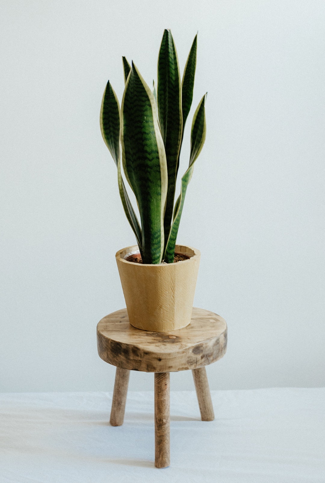 Round Rustic Wooden Plant Pot Stand - Etsy