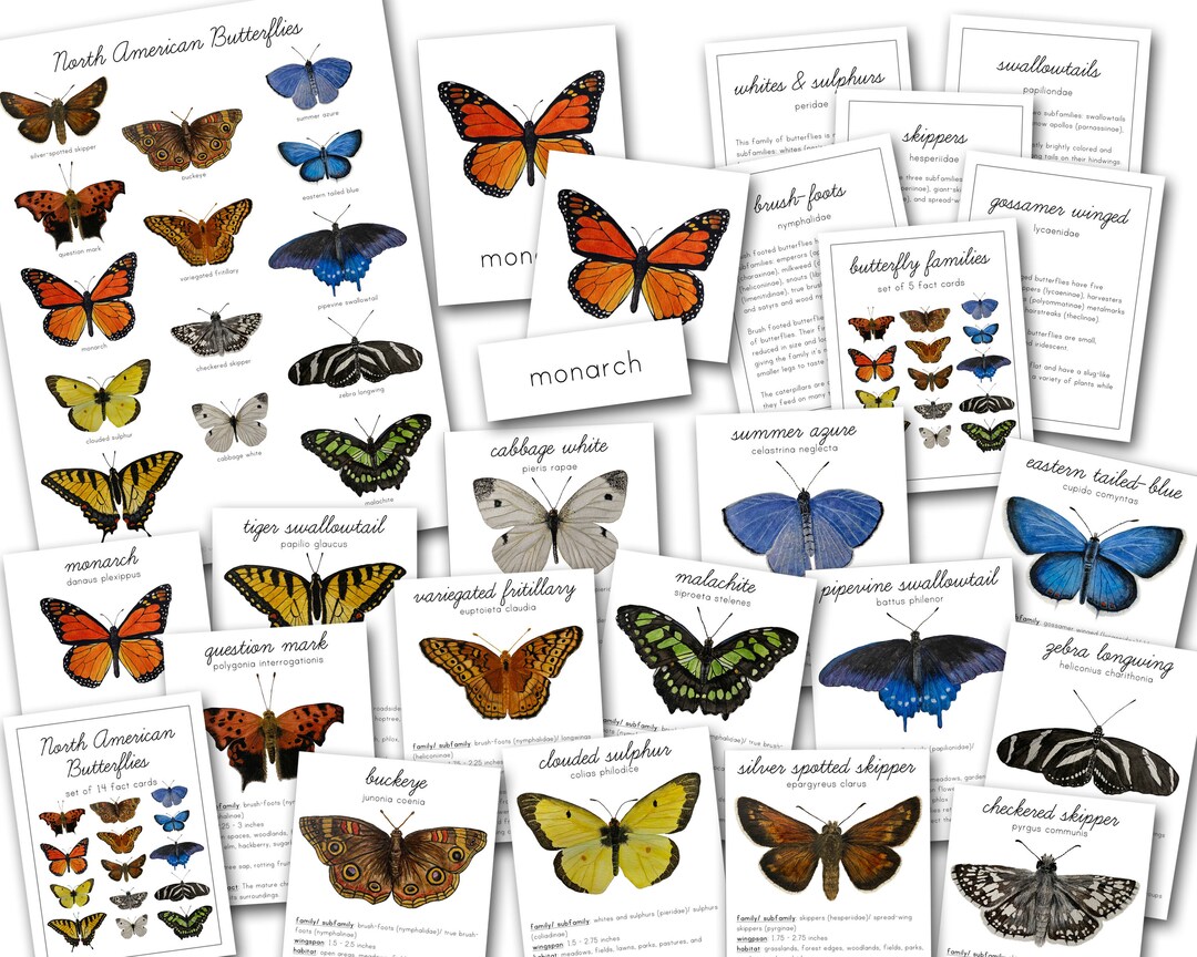 North American Butterflies Nature Guide - Etsy