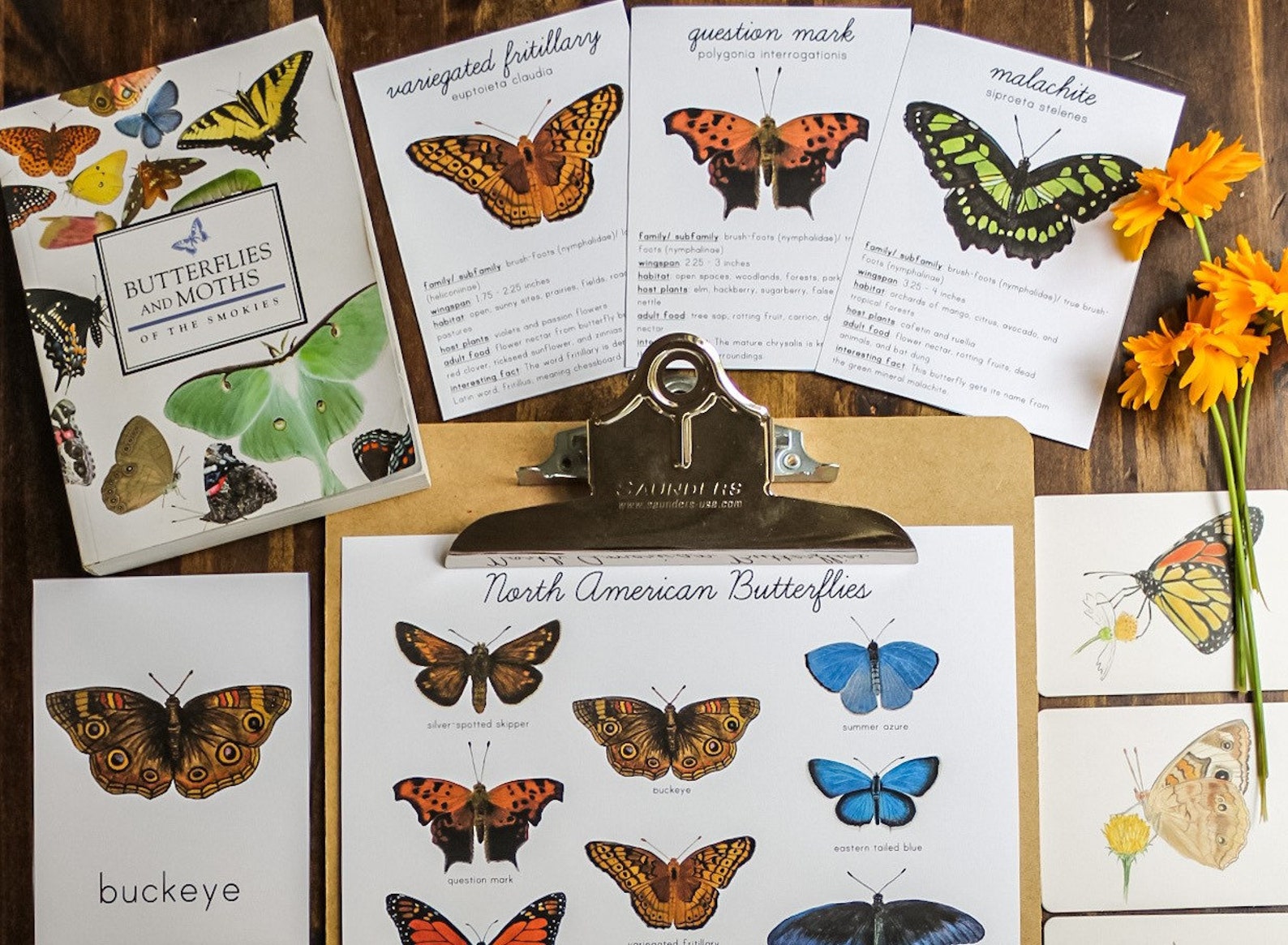 North American Butterflies Nature Guide - Etsy