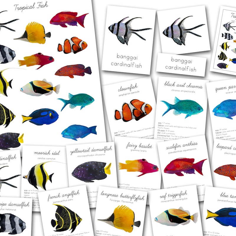 Tropical Fish - Etsy
