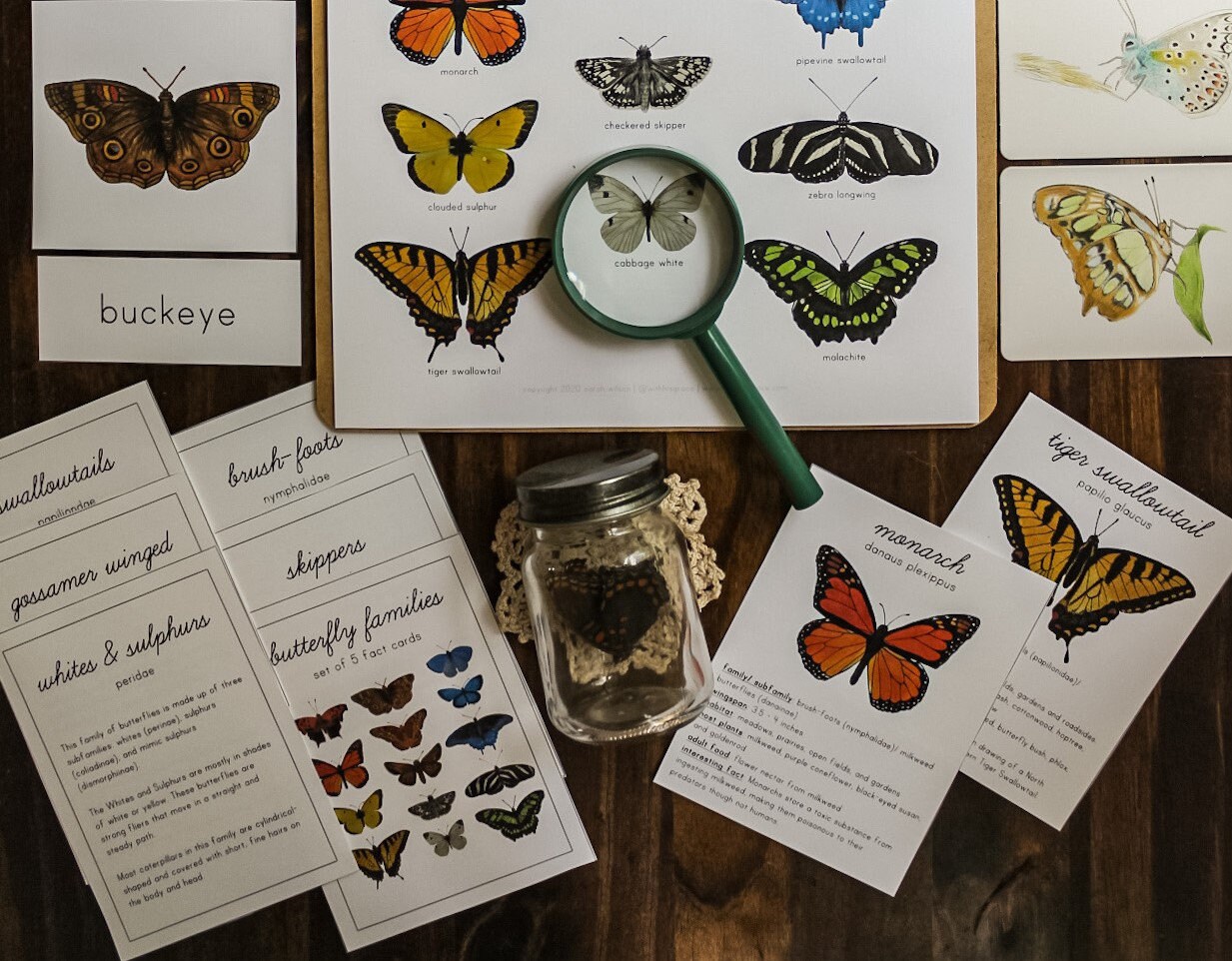 North American Butterflies Nature Guide - Etsy