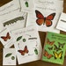 Butterfly Bundle - Etsy