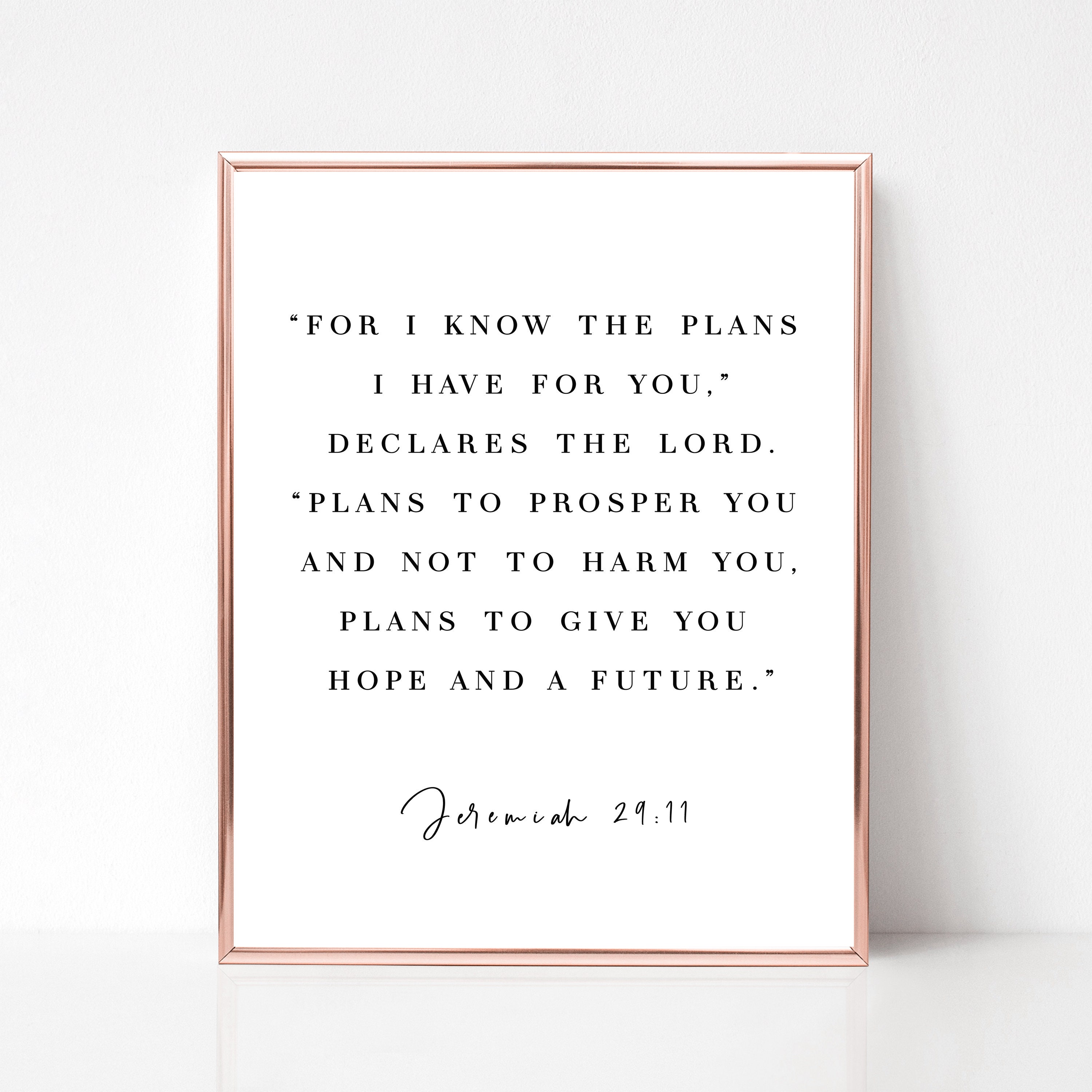 Jeremiah 29 11 For I Know The Plans I Have For You To Give You Hope