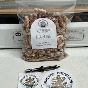 Shiitake Mushroom Plug Spawn 100x - FREE USA Shipping - Etsy