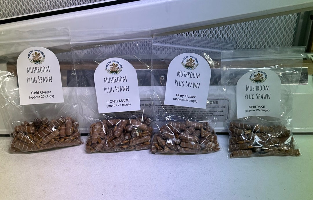 Variety Pack Mushroom Plug Spawn 4: 25x FREE USA Shipping - Etsy