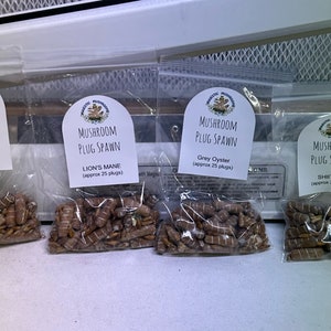 Variety Pack Mushroom Plug Spawn 4: 25x FREE USA Shipping - Etsy