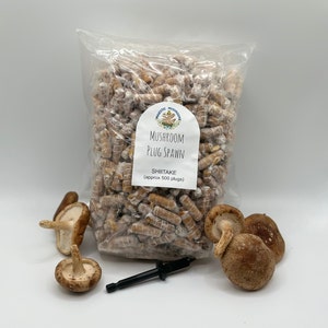Shiitake Mushroom Plug Spawn 500x - FREE USA Shipping - Etsy