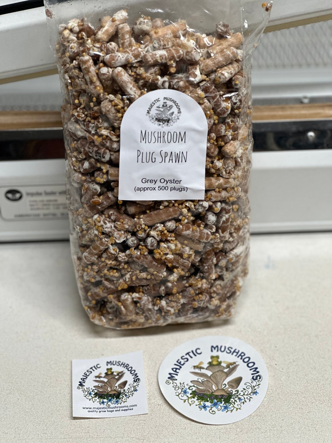 Grey Oyster Mushroom Plug Spawn 500x - FREE USA Shipping - Etsy