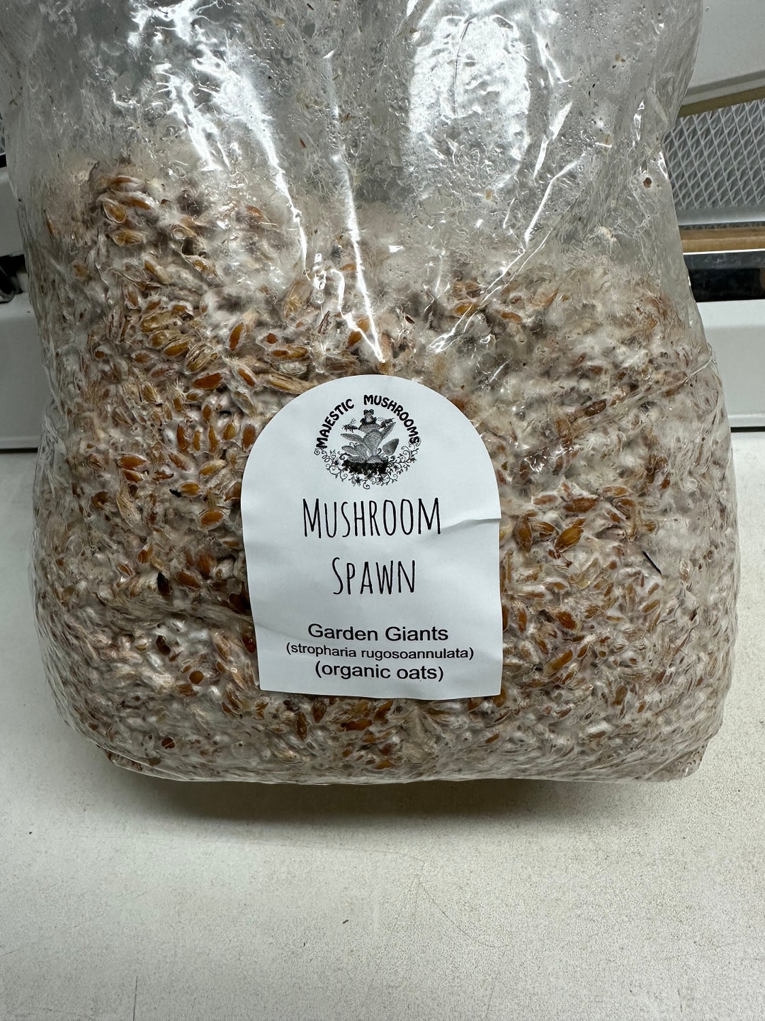 Garden Giant king Stropharia/wine Cap Mushroom Spawn - Etsy