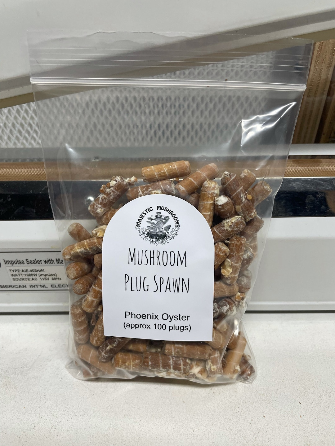 Phoenix Oyster Plug Spawn 100x - FREE USA Shipping - Etsy