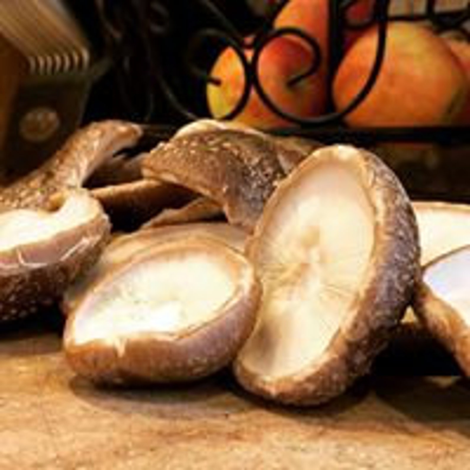 Shiitake Mushroom Plug Spawn 100x FREE USA Shipping - Etsy