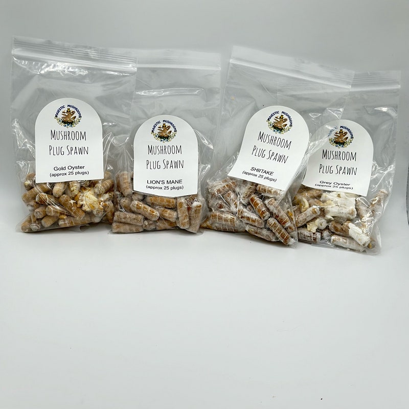 Ornaments Variety Pack - Etsy