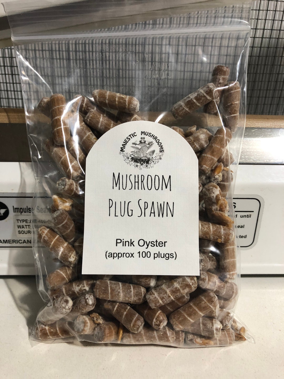 Pink Oyster Mushroom Plug Spawn 100x - FREE USA Shipping - Etsy