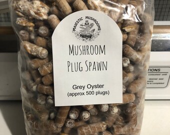 Shiitake Mushroom Plug Spawn 500x FREE USA Shipping | Etsy