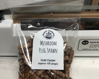 Lion's Mane Mushroom Plug Spawn 100x FREE USA Shipping | Etsy