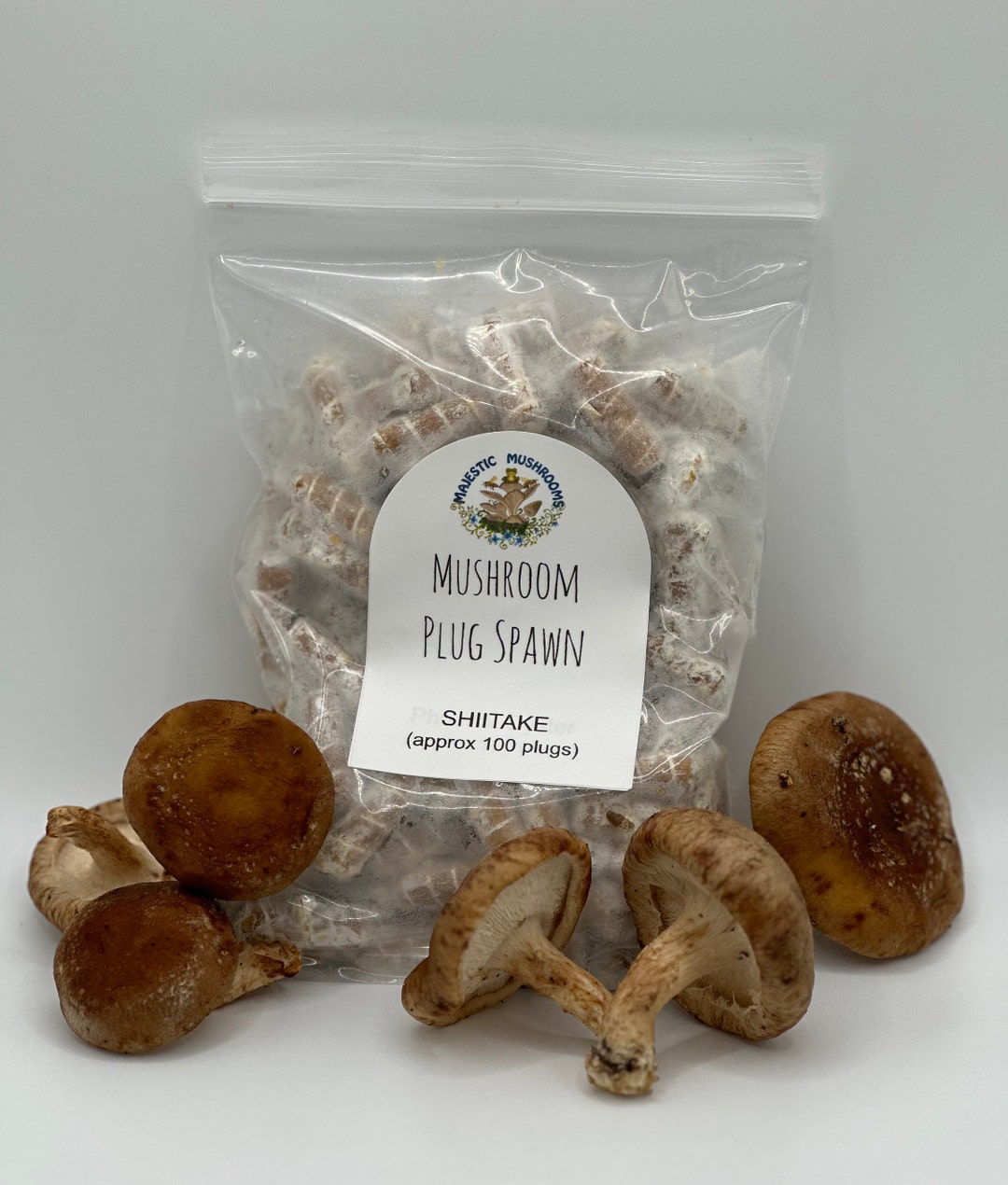 Shiitake Mushroom Plug Spawn 100x - FREE USA Shipping - Etsy