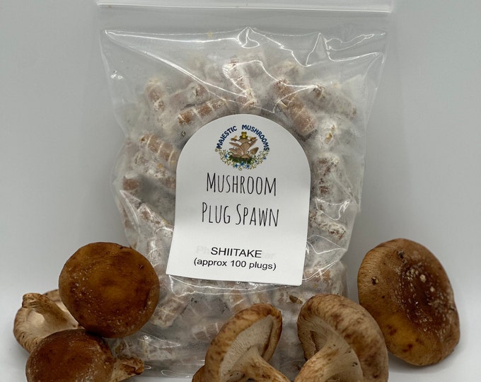 Shiitake Mushroom Plug Spawn 100x FREE USA Shipping - Etsy