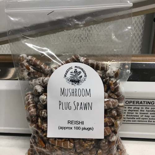 Shiitake Mushroom Plug Spawn - Etsy