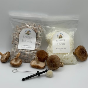 Shiitake Mushroom Plug Spawn 100x - FREE USA Shipping - Etsy