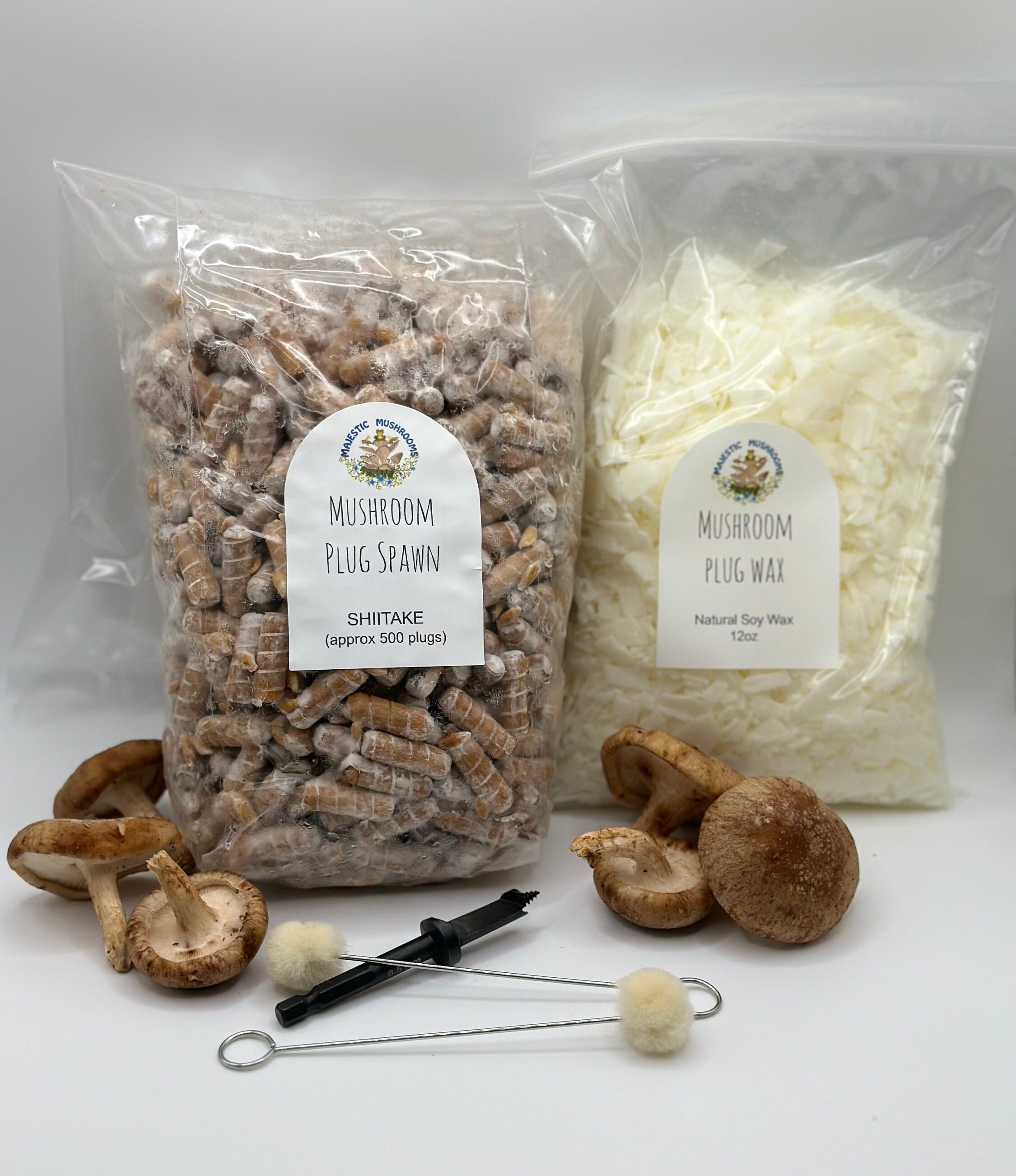 Shiitake Mushroom Plug Spawn 500x - FREE USA Shipping - Etsy
